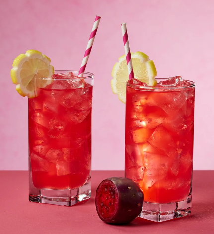 Sparkling Prickly Pear Lemonade – #1 Ranked New Mexico Salsa & Chile ...
