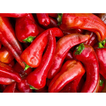 Fresh Chile Co – #1 Ranked New Mexico Salsa & Chile Powder | Made in ...